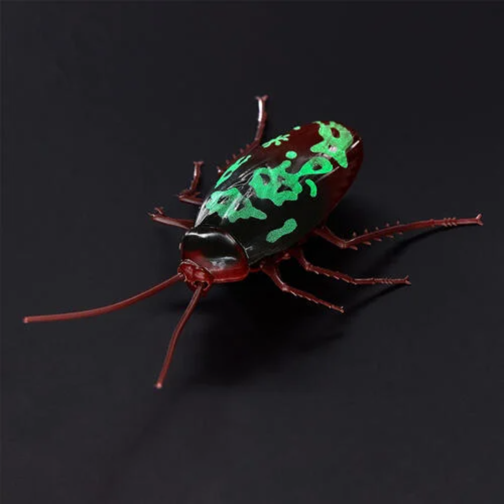 Robo Alive Standard Series 2 Cockroach – Toys4me