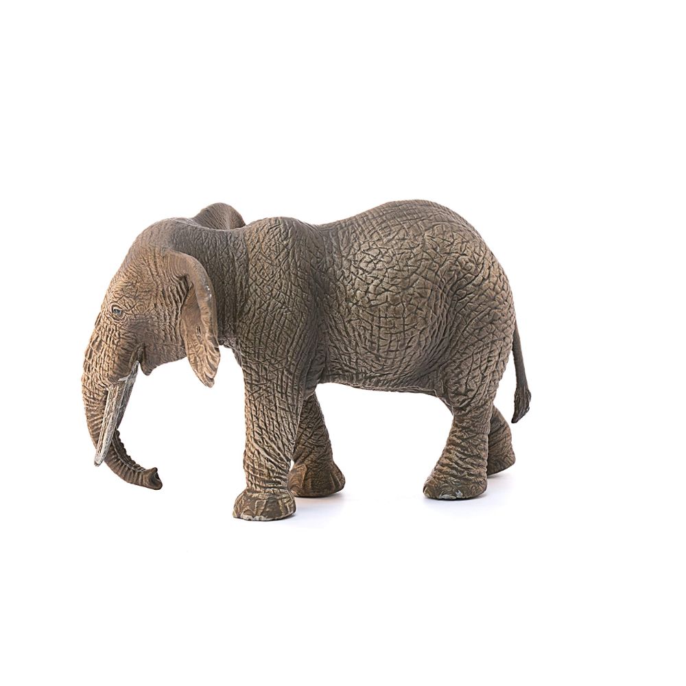 Schleich - African Elephant Female – Toys4me