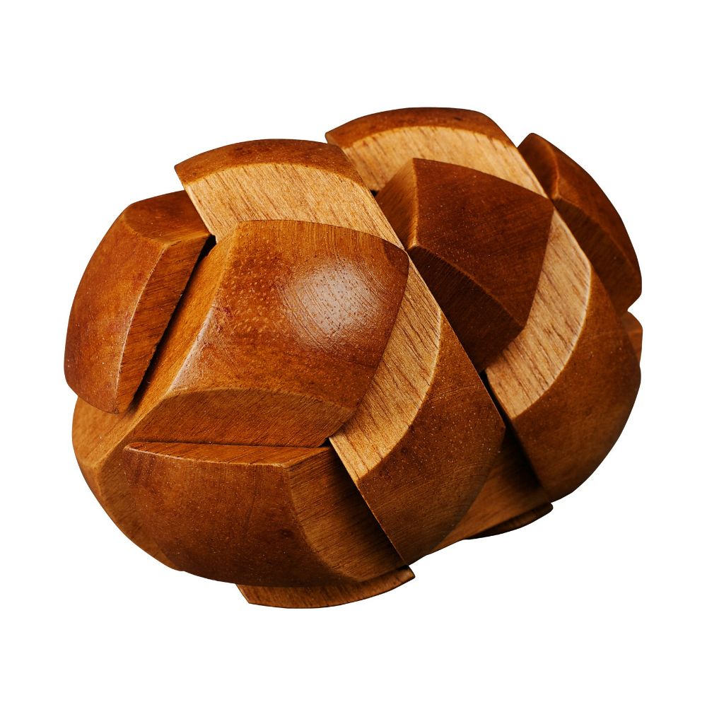 Professor Puzzle Darwin’s Egg of Evolution Puzzle – Toys4me